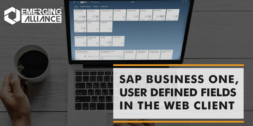 SAP BUSINESS ONE USER DEFINED FIELDS IN THE WEB CLIENT - SAP B1
