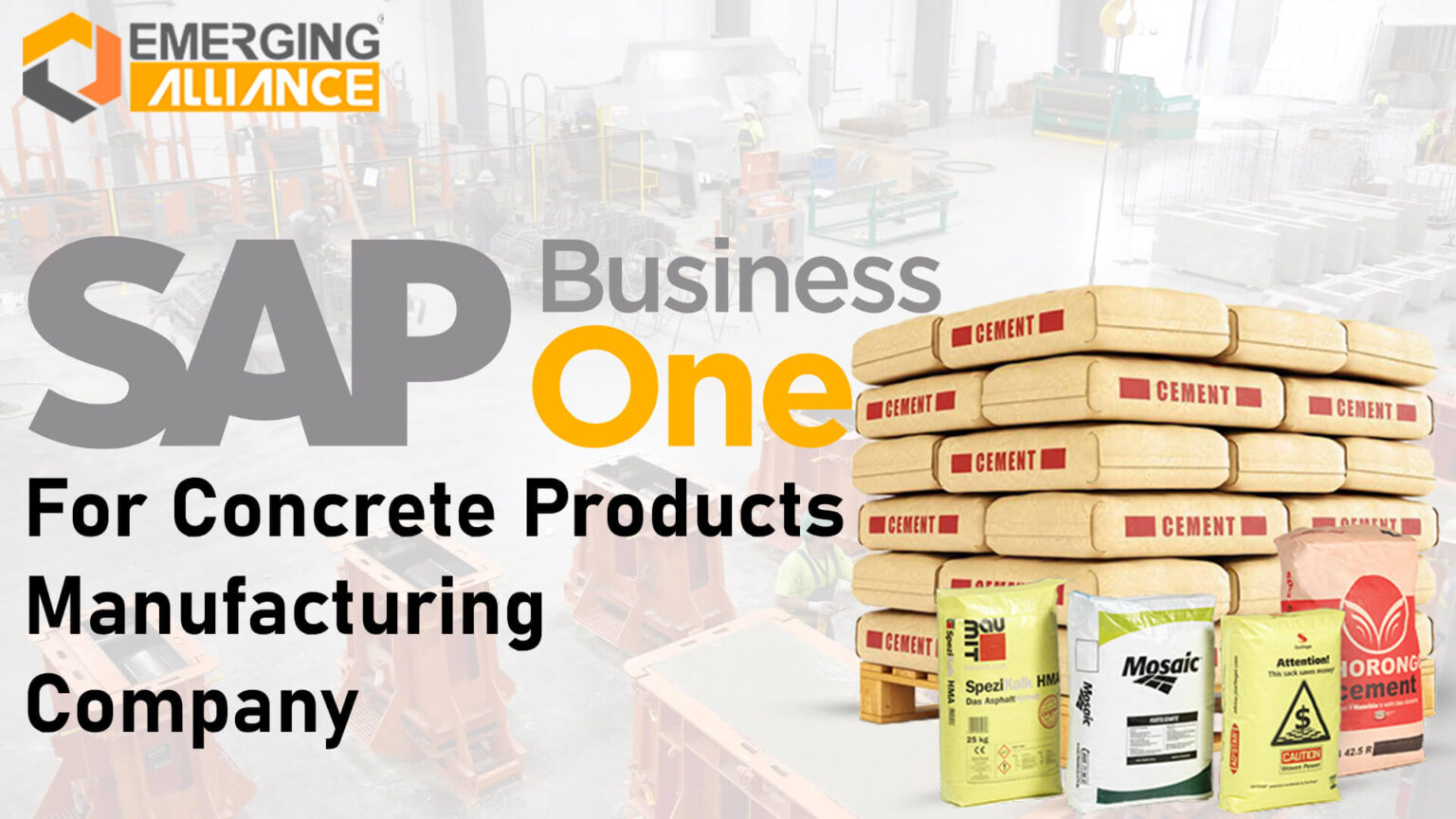 SAP Business One / SAP B1 ERP for Concrete Products Manufacturing ...