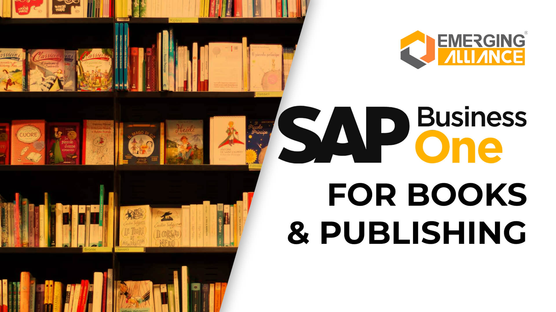 SAP Business One ERP for Books and Publishing - SAP B1