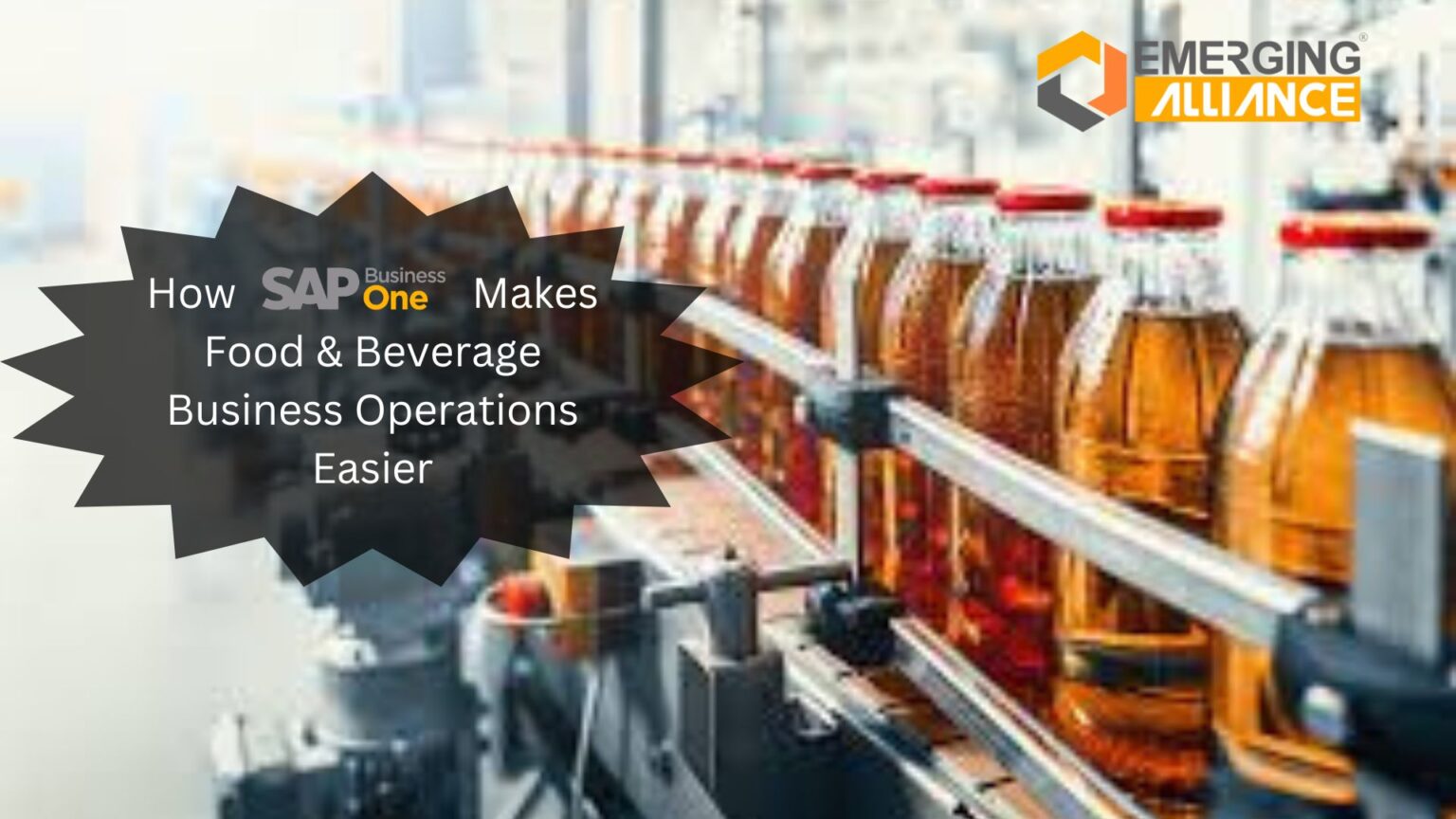 How SAP B1 Makes Food & Beverage Business Operations Easier - SAP B1