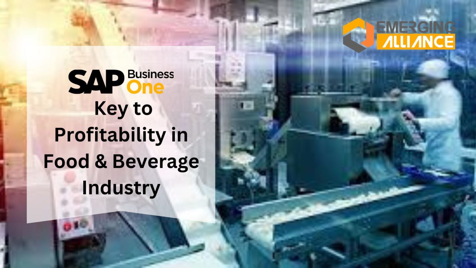 SAP Business One: Key to Profitability in Food & Beverage Industry - SAP B1