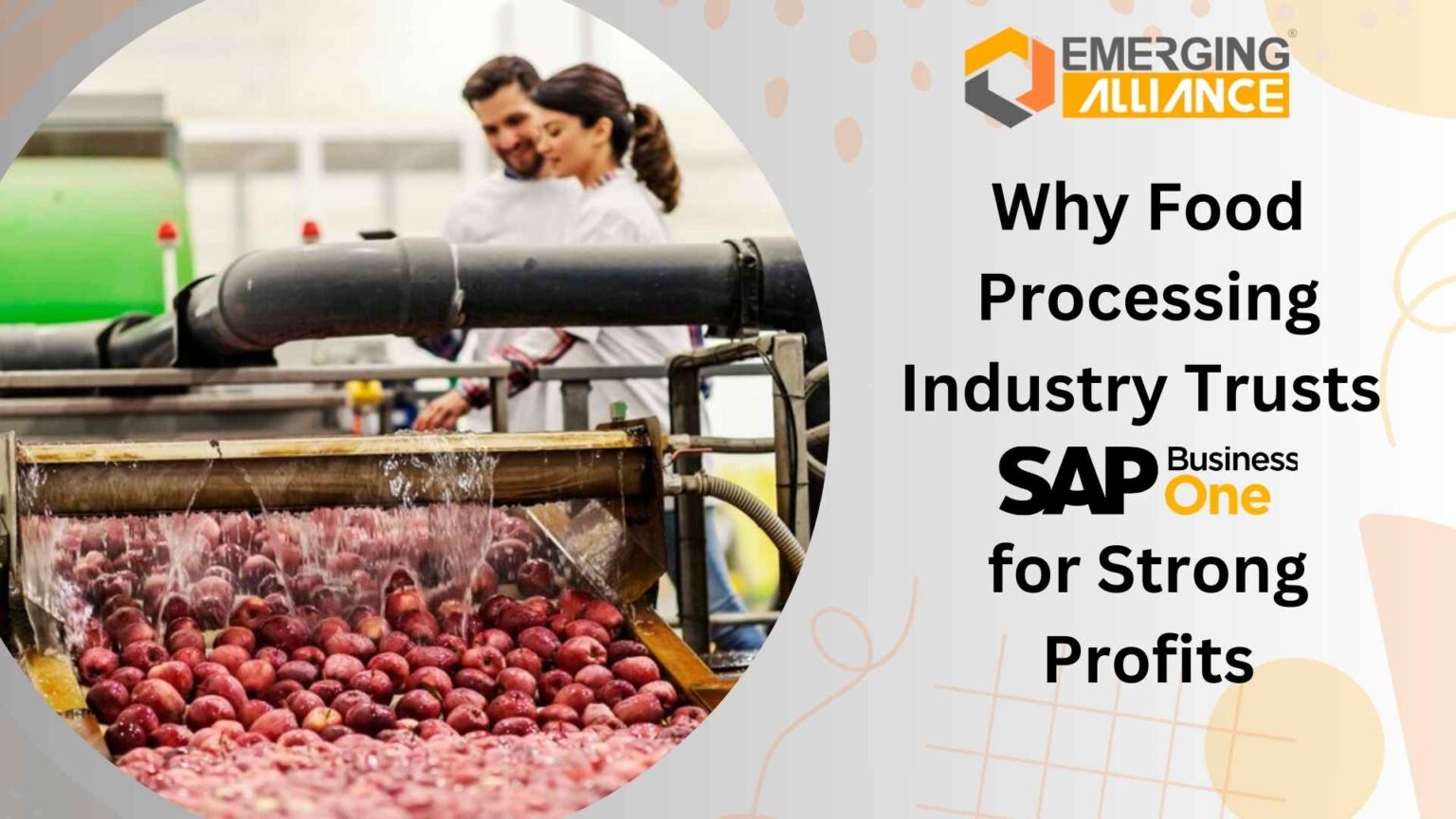 Why Food Processing Industry Trust SAP B1 for Strong Profits - SAP B1