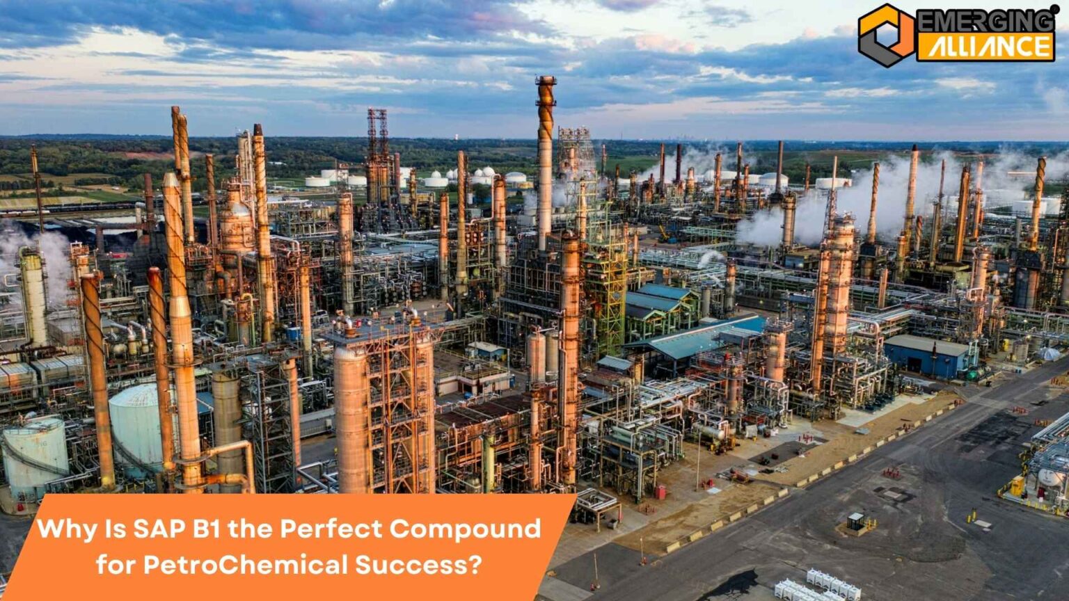 Why Is SAP B1 the Perfect Compound for PetroChemical Success? - SAP B1