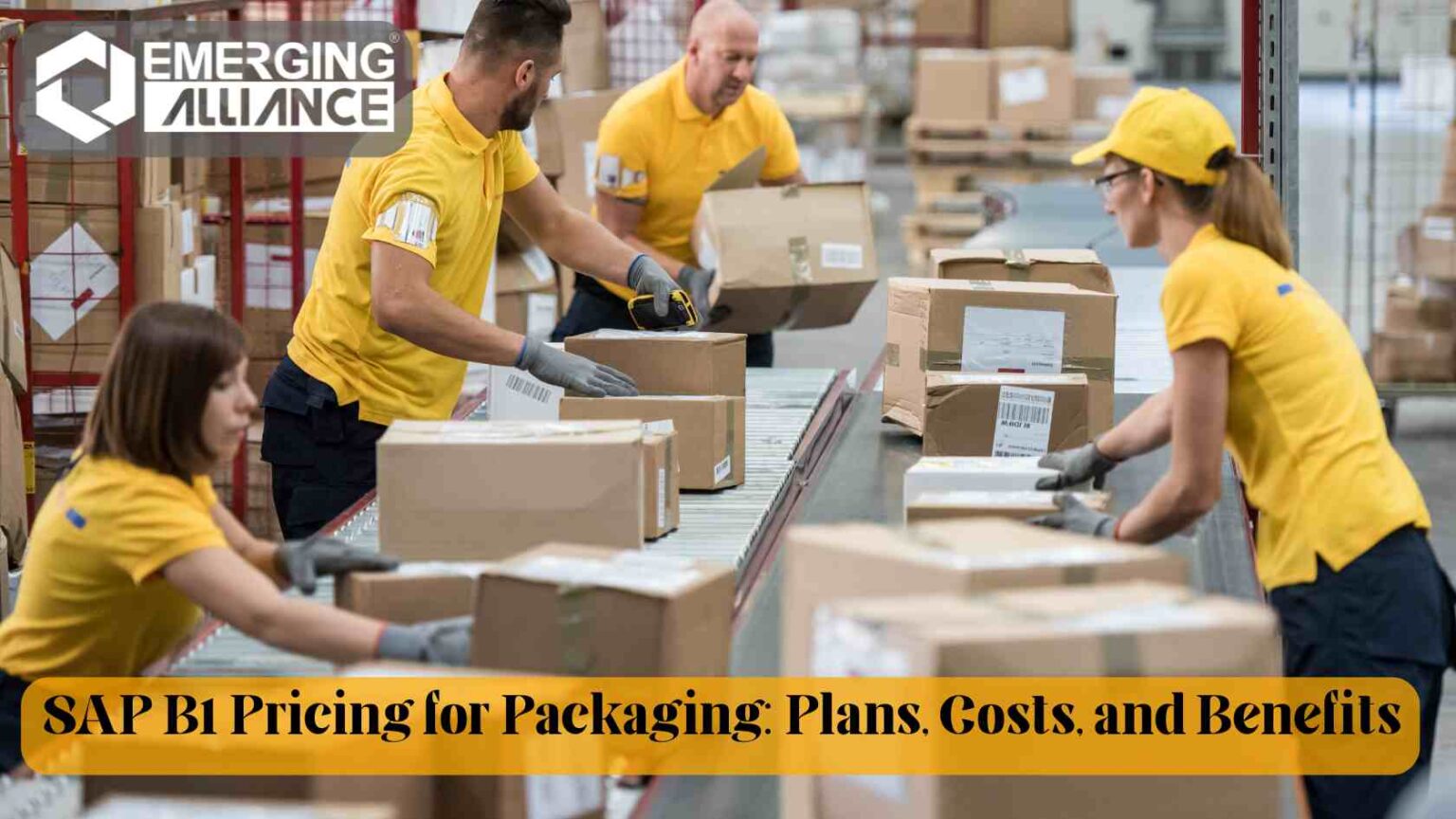 SAP B1 Pricing for Packaging: Plans, Costs, and Benefits - SAP B1