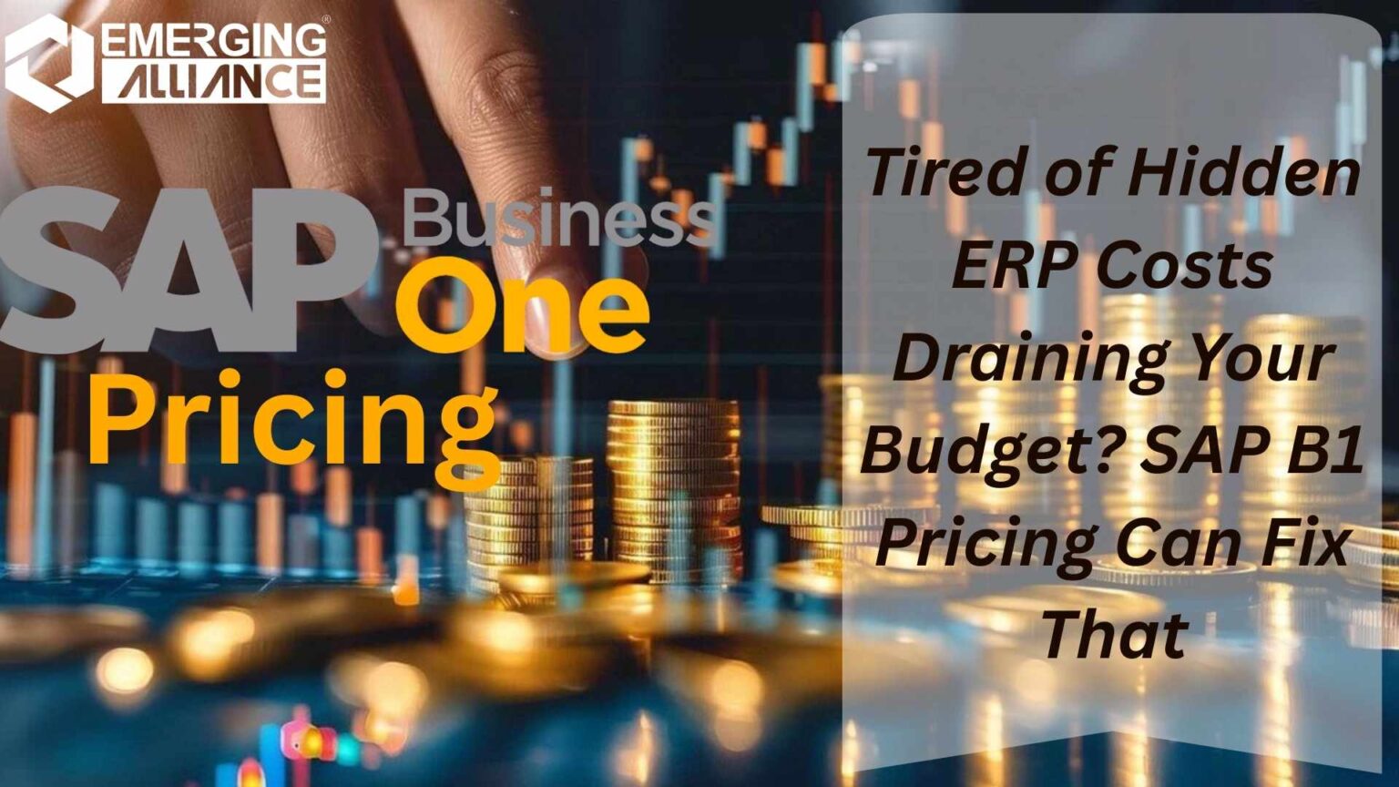 Tired of Hidden ERP Costs Draining Your Budget? SAP B1 Pricing Can Fix ...