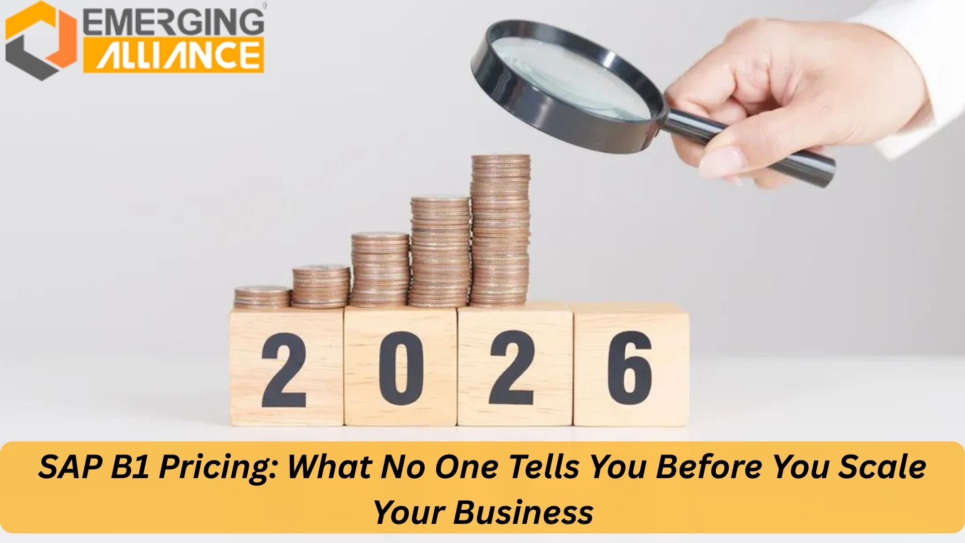 SAP B1 Pricing: What No One Tells You Before You Scale Your Business ...